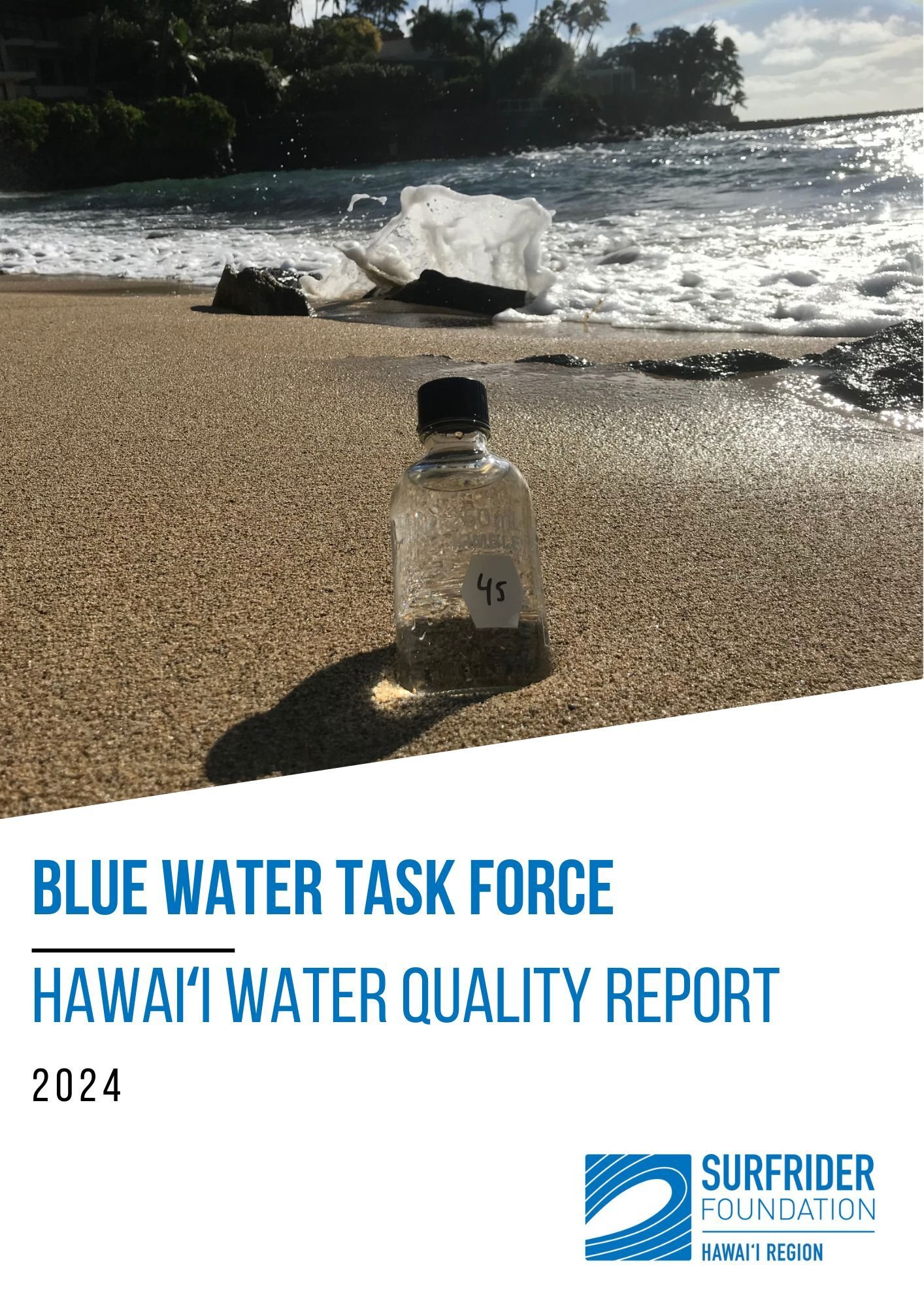 Blue Water Task Force